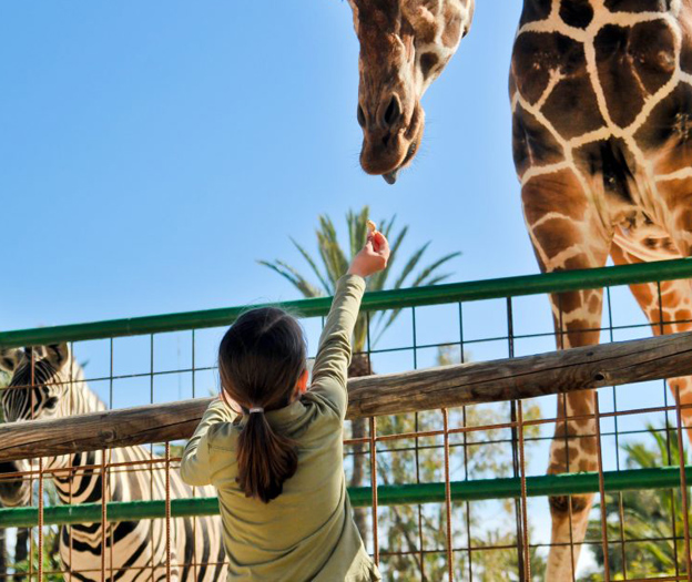 RESOURCES - Sienna Ridge Apartment Homes